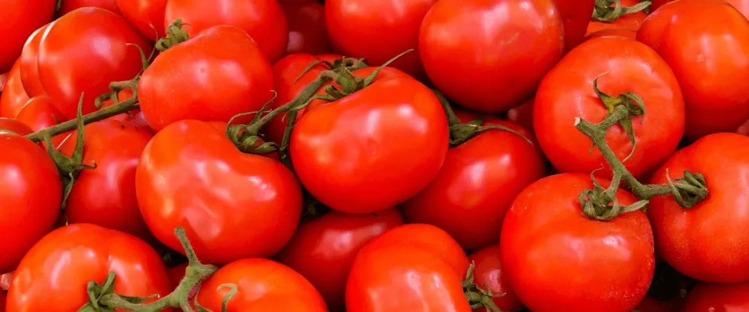 Nightshade Intolerance: Symptoms, Causes, and How to Find Relief ...